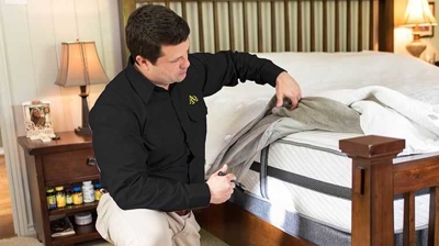 Home Pest Control Oklahoma City, OK | Alpha Omega Pest Control